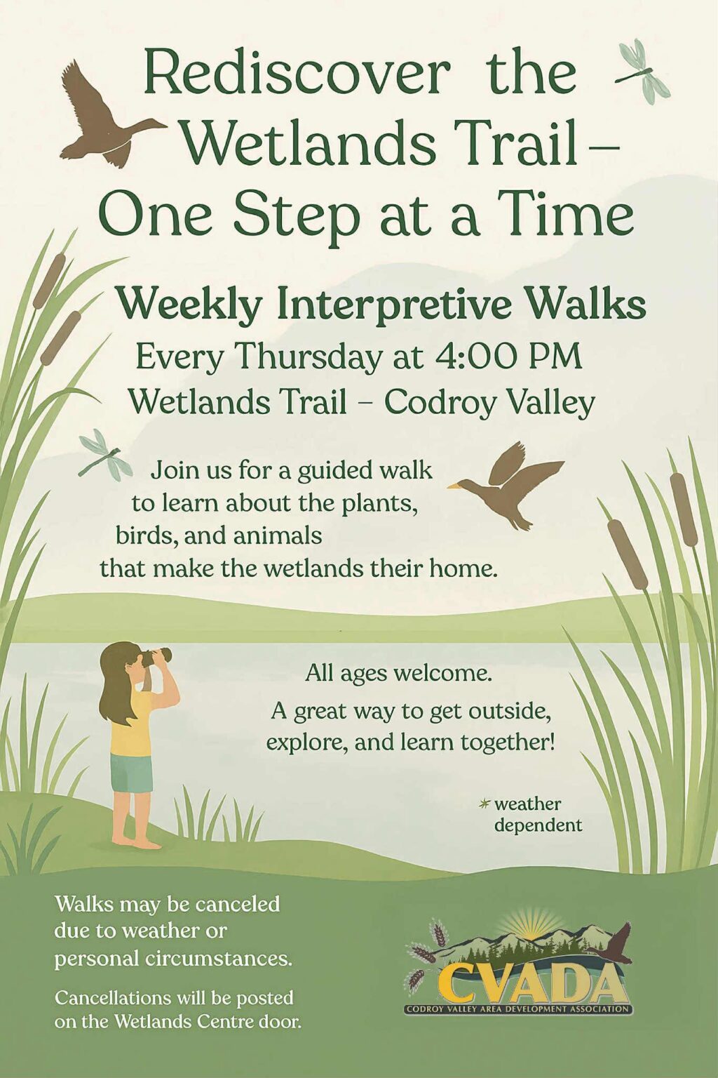 Tourism Southwest | Interpretive Walk – Wetlands Trail in Codroy Valley